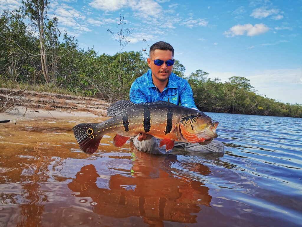 ‘THE AMAZON ANGLER’ | Amazon Angler Amazon Angler Fishing Vacation ...