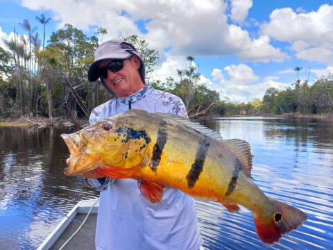 Amazon River Fish – A Game Angler's Species Guide