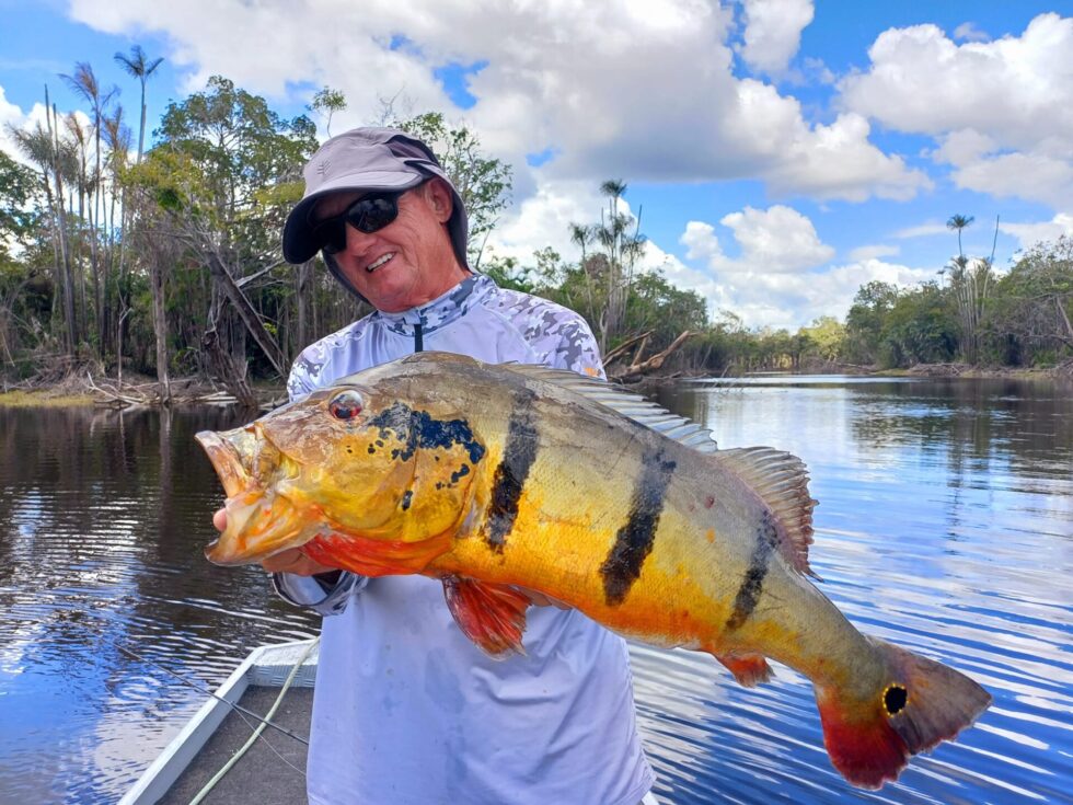 Amazon River Fish – A Game Angler's Species Guide