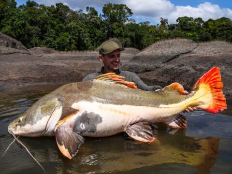 Amazon River Fish – A Game Angler's Species Guide