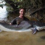 Piraiba Catfish - Amazon Game Fishing Guide | Amazon-Angler