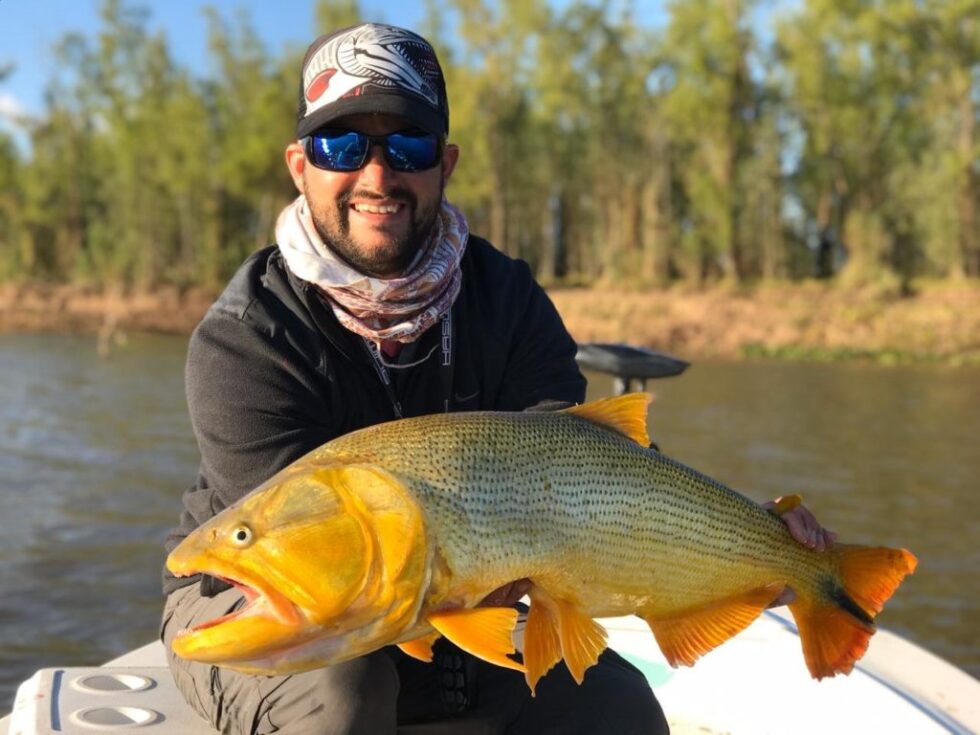 Freshwater Dorado - Amazon Game Fishing Guide | Amazon-Angler