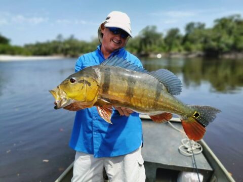 Peacock Bass - Amazon Game Fishing Guide | Amazon-Angler