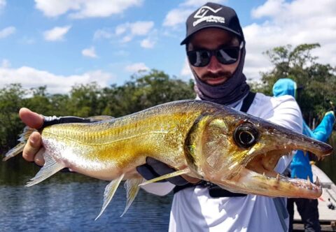 Amazon River Fish – A Game Angler's Species Guide